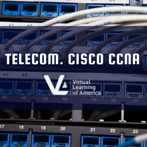 Técnico en Telecomunicaciones Cisco CCNA – Campus VLA